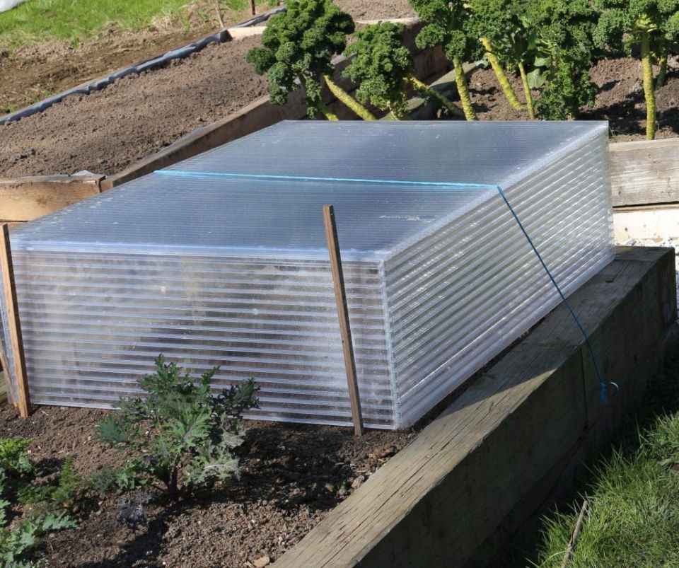 25 Free DIY Cold Frame Plans for Gardening - DIY Cozy Home