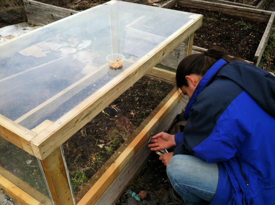 25 Free DIY Cold Frame Plans for Gardening - DIY Cozy Home