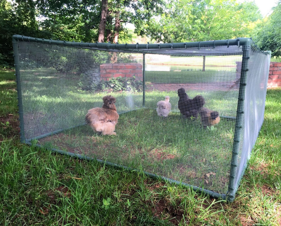 25 Free DIY Chicken Coop Plans with PDF Instructions - DIY Cozy Home